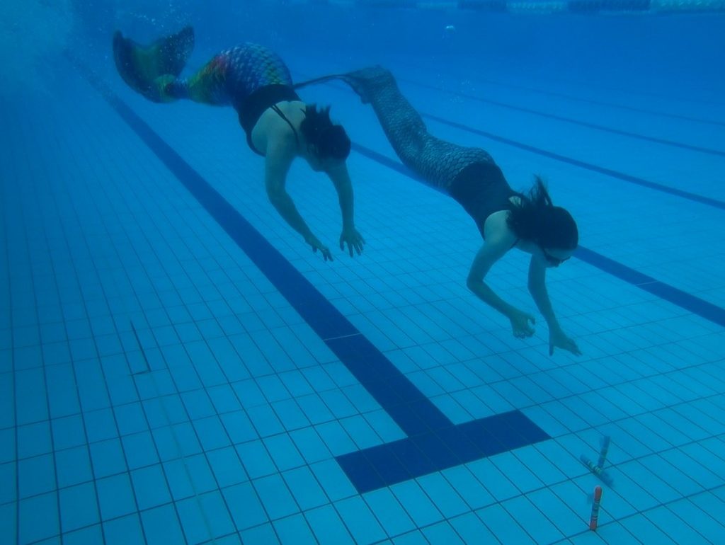 Adelaide Aquatic Centre | mertopiaaquaacademy.com.au