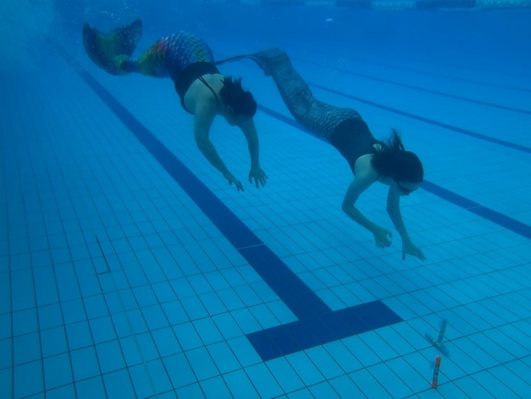 Adelaide Aquatic Centre | mertopiaaquaacademy.com.au