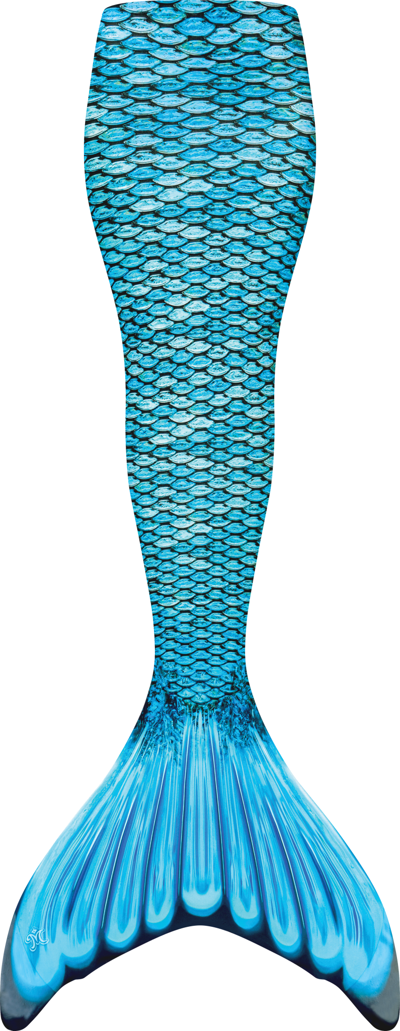 Own a tail | mertopiaaquaacademy.com.au